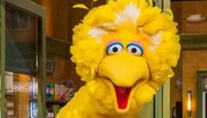 Big Bird and His International Cousins: A Global Feathered Family ...