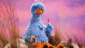 Big Bird and His International Cousins: A Global Feathered Family ...