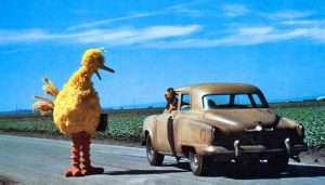 Big Bird's Legendary Appearances on The Muppet Show | Muppet Madness